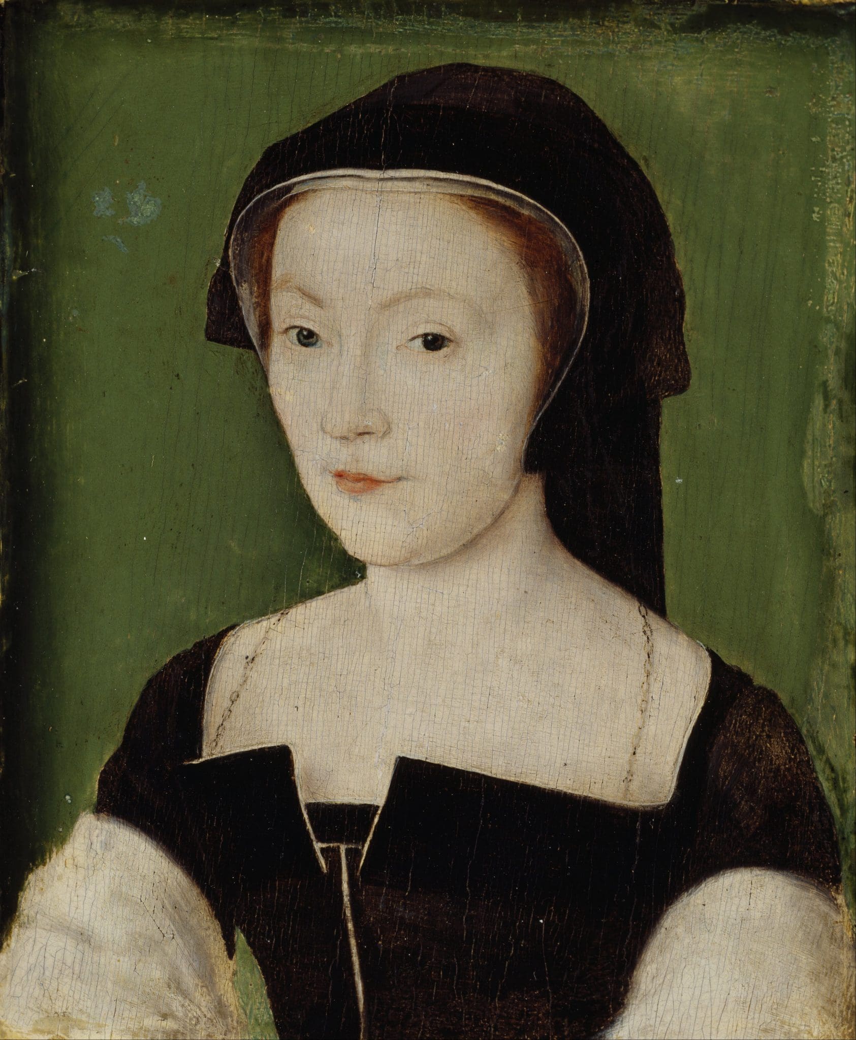 Scourge of Henry VIII: The Life of Marie de Guise by Melanie Clegg Book ...